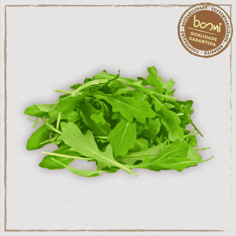 Rúcula Orgânica 1 Unid - Horta - Verduras - Boomi