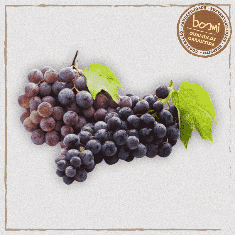 Uva Roxa Orgânica 300g - Horta - Frutas - Orgânicos - Boomi