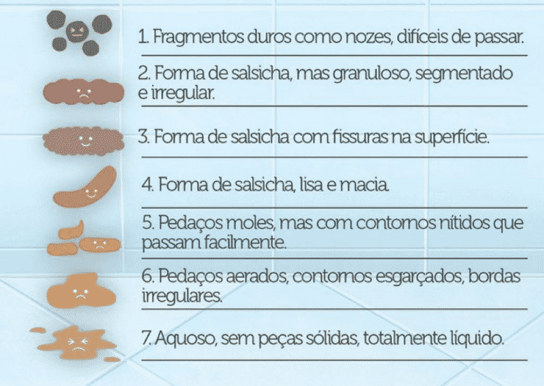 Escala de Bristol, confira como está a sua saúde intestinal - Boomi